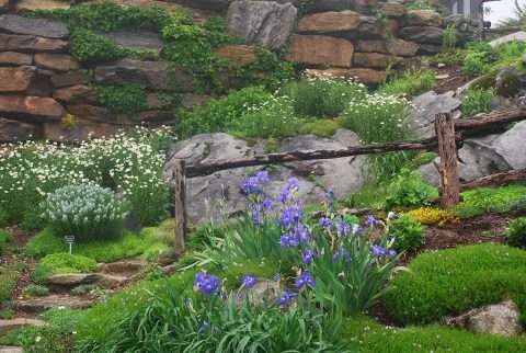 Cliffs at Glassy | Alex Smith Garden Design, Ltd.