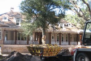 Alex Smith Garden Design, Ltd. | Services