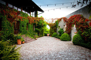 Alex Smith Garden Design, Ltd. | Portfolio